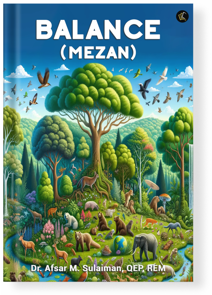 Balance (Meezan) - Dreambook Publishing